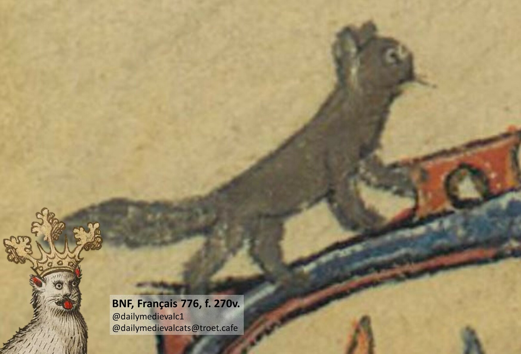 A Robot Cat (@robotkitty@mastodon.social) - Mastodon